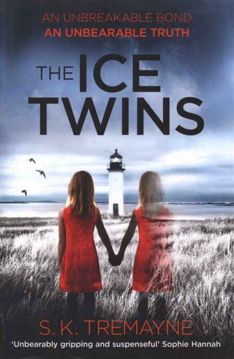 Ice Twins - Diwan
